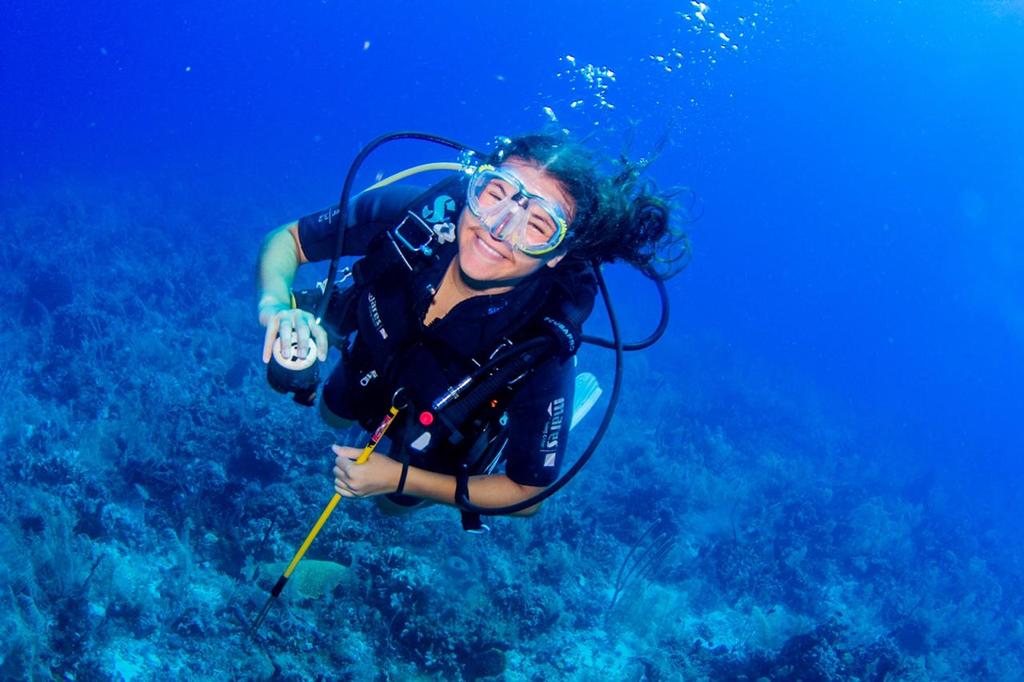 PADI Divemaster Internship with accommodation - Roatan, Bay Islands ...